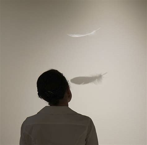 What Do You Call A Feather In Different Languages — Featherfolio