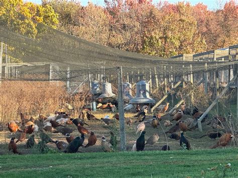 Delps Hunting Grounds Added A Delps Hunting Grounds