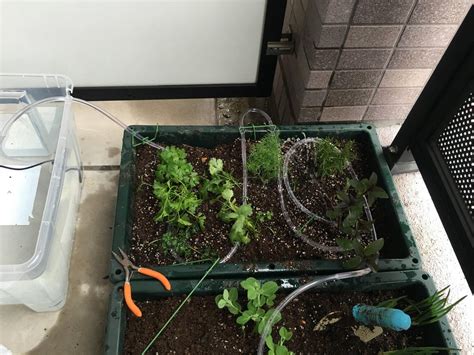 Built An Automatic Watering System From Scratch Using An Attiny85