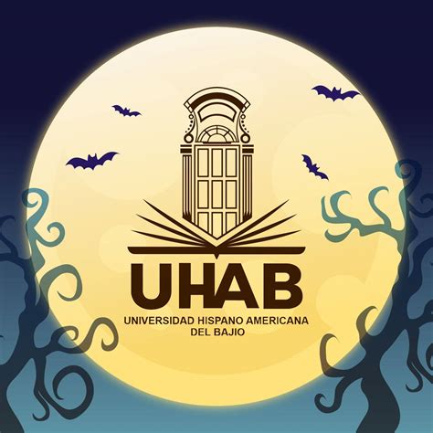 Universidad Hispano Americana Del Bajío