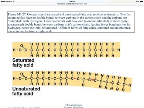 Biology Macromolecules Flashcards Quizlet
