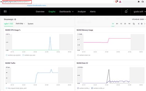 Monitor Your NGINX Web Proxy Server Using Amplify LinuxWays