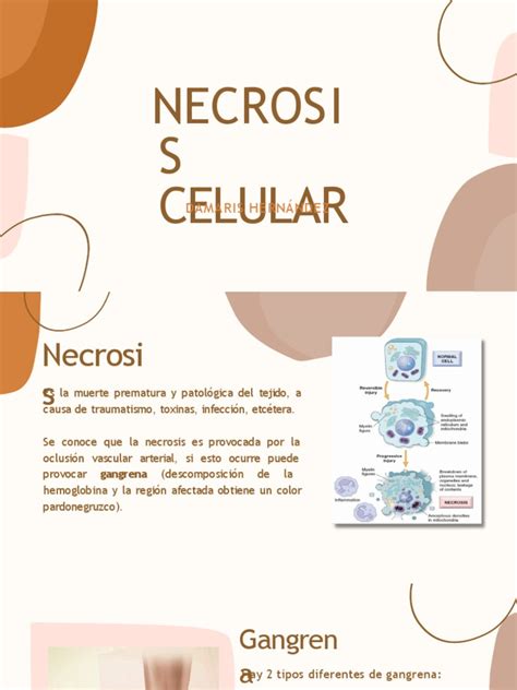 Necrosis Celular Cm Pdf