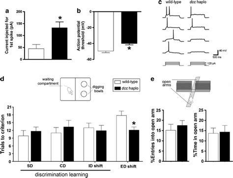 Improved Behavioral Flexibility And Reduced Excitability Of Layer V Download Scientific Diagram