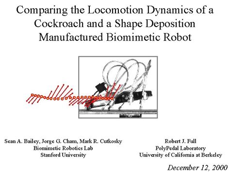 Comparing The Locomotion Dynamics Of A Cockroach And