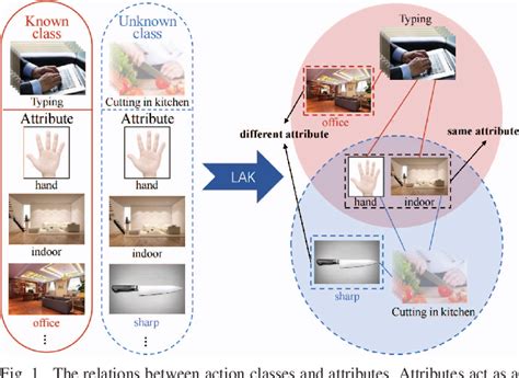 Figure 1 From Leveraging Attribute Knowledge For Open Set Action Recognition Semantic Scholar