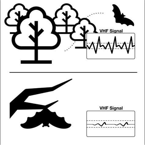Principle Of Activity‐recognition‐based On Very‐high‐frequency Vhf Download Scientific