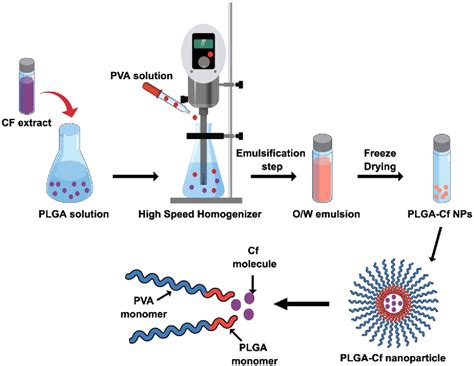 Figure 1 from Applying Box–Behnken Design for Formulation and Optimization of PLGA-Coffee ...