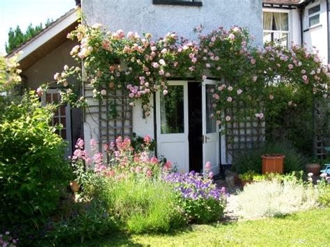Judy Adamsons Art And Design Blog Roses The June Birth Month Flower