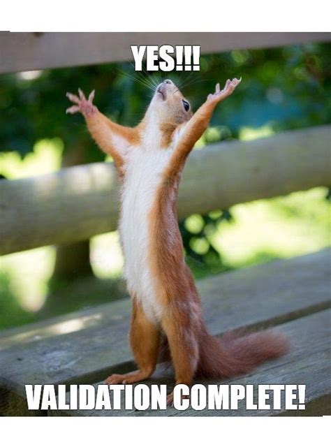 Meme Yes Validation Complete All Templates Meme