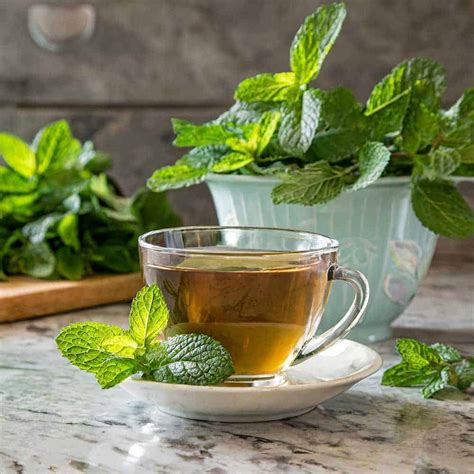 Pain And Headache Wellness Wheel Tucson Tea Company