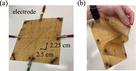 A Semiconductive Paper Marked With 49 Points At Intervals Of 2 5 And