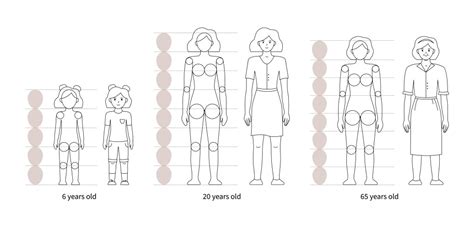 Human Girl Anatomy Vector Images And Graphics For Commercial Use