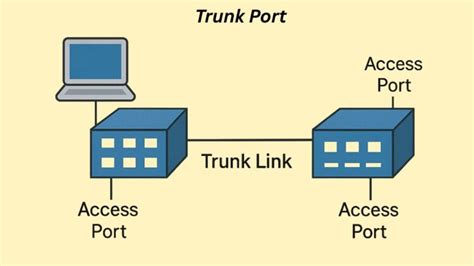 What Is Trunk Port How It Works Benefits And Use Cases