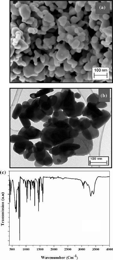 TEM And SEM Images Of 7 FeTiO2 A B And Infrared Spectra C After Download Scientific