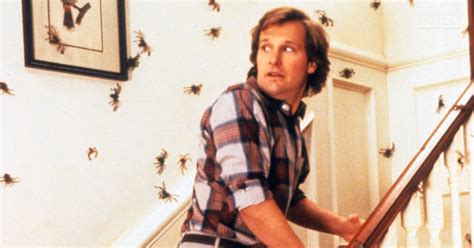 The Best Horror Movies About Killer Bugs Ranked