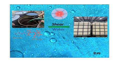 Fully Atom Efficient Solvent Mediated Biopolymer Manufacturing A Base Case Illustrated With