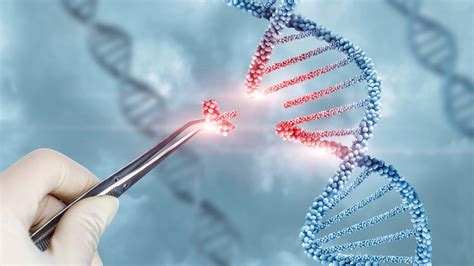 29 Facts About Gene Editing Ohmyfacts