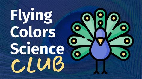 Koala Karyotype Activity Flying Colors Science