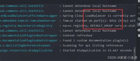 Nacos配置中心报错url Attribute Is Not Specified And No Embedded Datasource Could Be Configurednacos