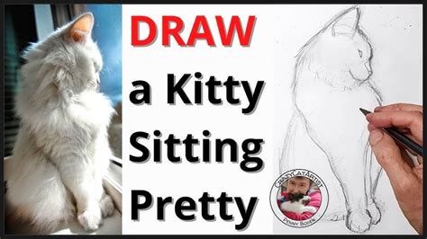 How To Draw A Cat Narrated Step By Step Tutorial