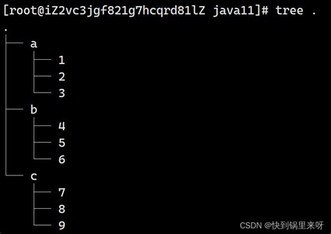 Linux常用命令escwq Csdn博客