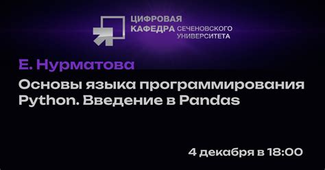 Е Нурматова Основы языка программирования Python Введение в Pandas РосМедТВ