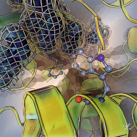 Molecularart Tryptophan Ligand Interaction Hydrophobic Residue Xray Proteinimager