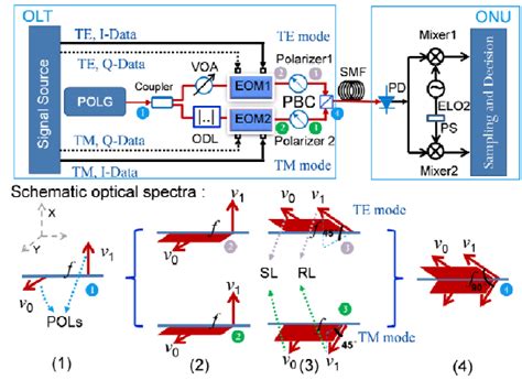 schematic diagram of the proposed coherent dual polarization optical