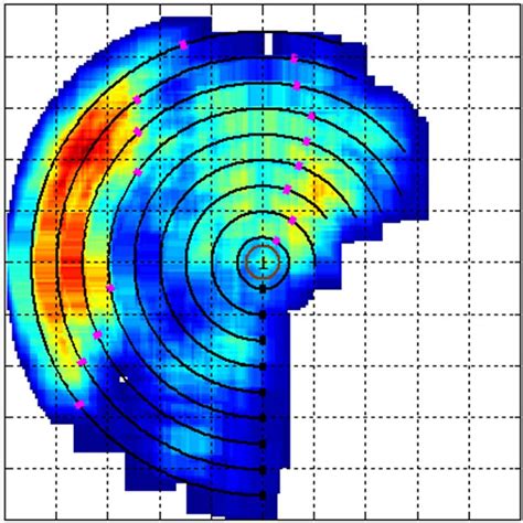 Tree Root Radar Survey Tree Radar Unit Arboraearation
