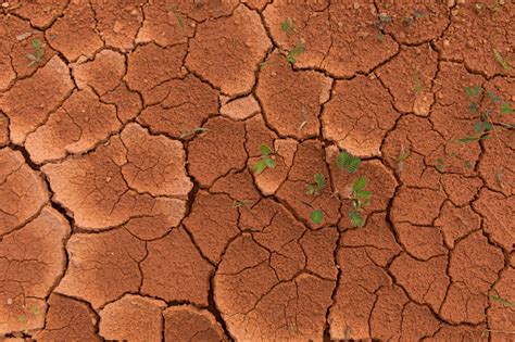 조직상 배경에 대 한 지저분한 건조 균열 마른된 땅의 표면 푸른 잔디와 환경 가뭄 때문에 균열에서 흙과 금이 진흙 패턴입니다 0명에 대한 스톡 사진 및 기타 이미지 Istock