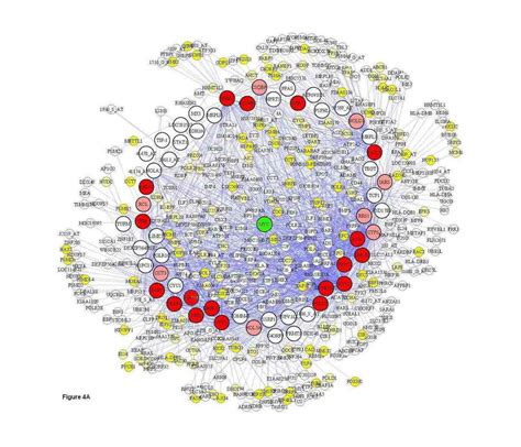 Why Correlation Usually Causation Gwern Net