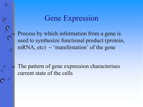 Measuring Gene Expression Pptx