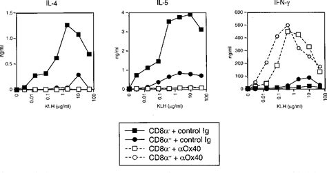 Figure 2 From This Information Is Current As Dendritic Cells In Vivo