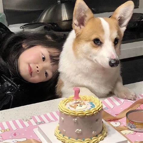 情头可爱 堆糖，美图壁纸兴趣社区