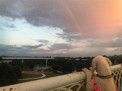 Millicent Smith Millicentsmithmedia • Instagram Photos And Videos