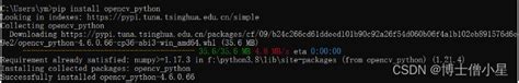 环境配置——已解决modulenotfounderror No Module Named ‘cv2（python）有库还提示 No