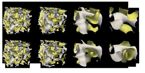 Evolution Of The Spinodal Decomposition And Coarsening In A Ternary Download Scientific Diagram
