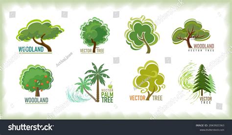 Different Types Of Trees From Tropical And Royalty Free Stock Vector 2043921563 Avopix Com