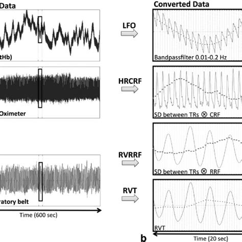 Steps For Temporal And Spatial Analysis A Raw Signals From The Nirs Download Scientific
