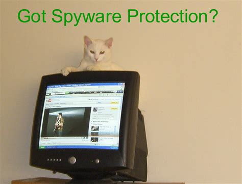 Geek Kitty Picture Ebaums World