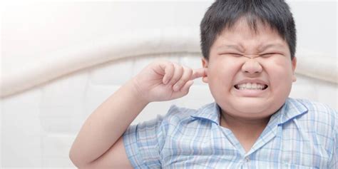 Otitis Media Jenis Gejala Dan Cara Mengobati Yoona