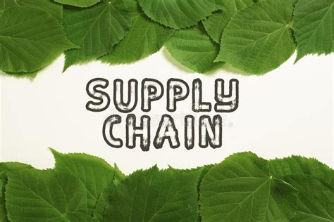 Inspiration Showing Sign Supply Chain Conceptual Photo System Of Organization And Processes