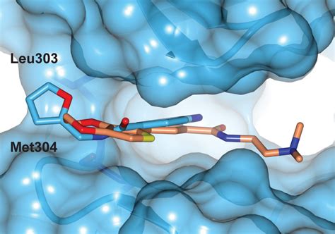 Hit Identification Creative Biostucture Drug Discovery
