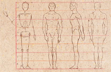 Як намалювати людину для початківців на повний зріст легко