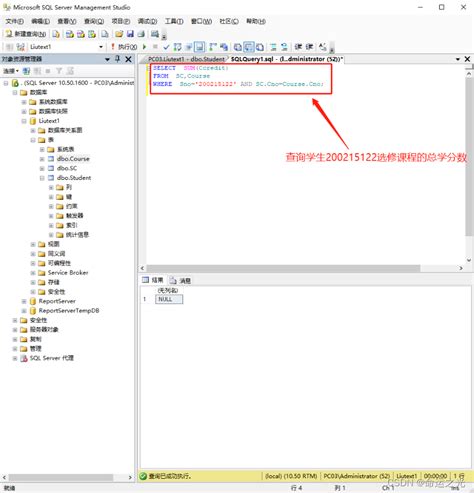 数据库原理及应用上机（实验三 Sql数据查询）sql Sever 数据库应用实验 Csdn博客