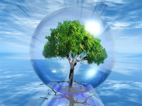 Bubble With Tree Stock Photo Serp
