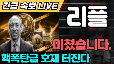 리플 코인 전망 핵폭탄급 호재터진다 드디어 미쳤습니다 Youtube