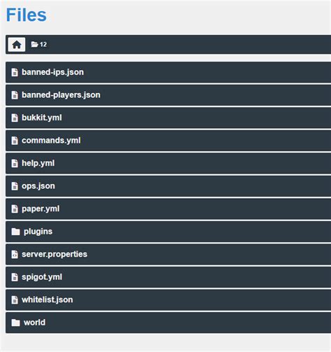 Skin On Cracked Server Aternos
