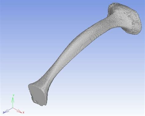 Reconstructed FE Model Of A Solid Tibia With OI Download Scientific Diagram